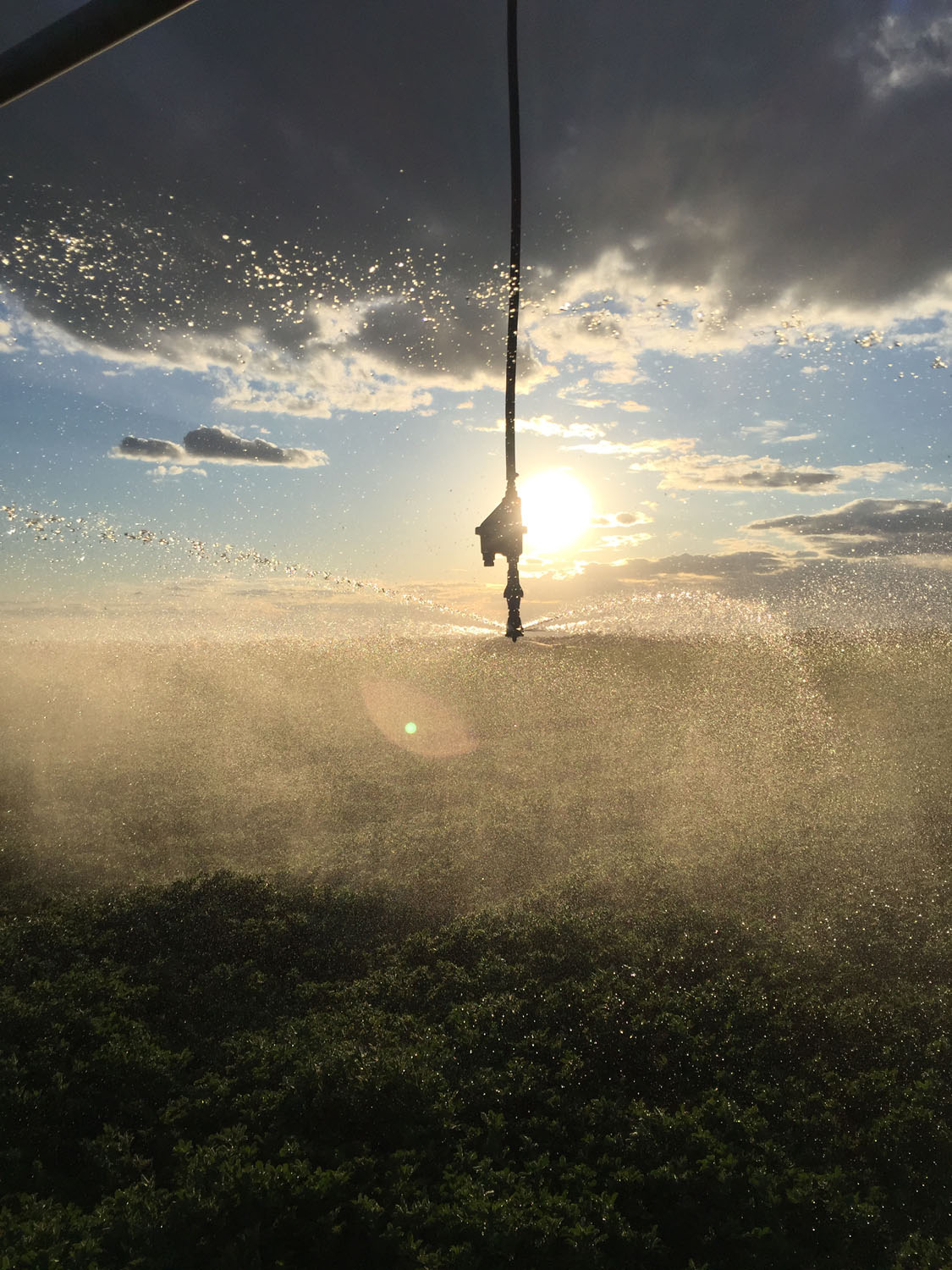 E-Z Flush Filters | For Circle Irrigation Systems