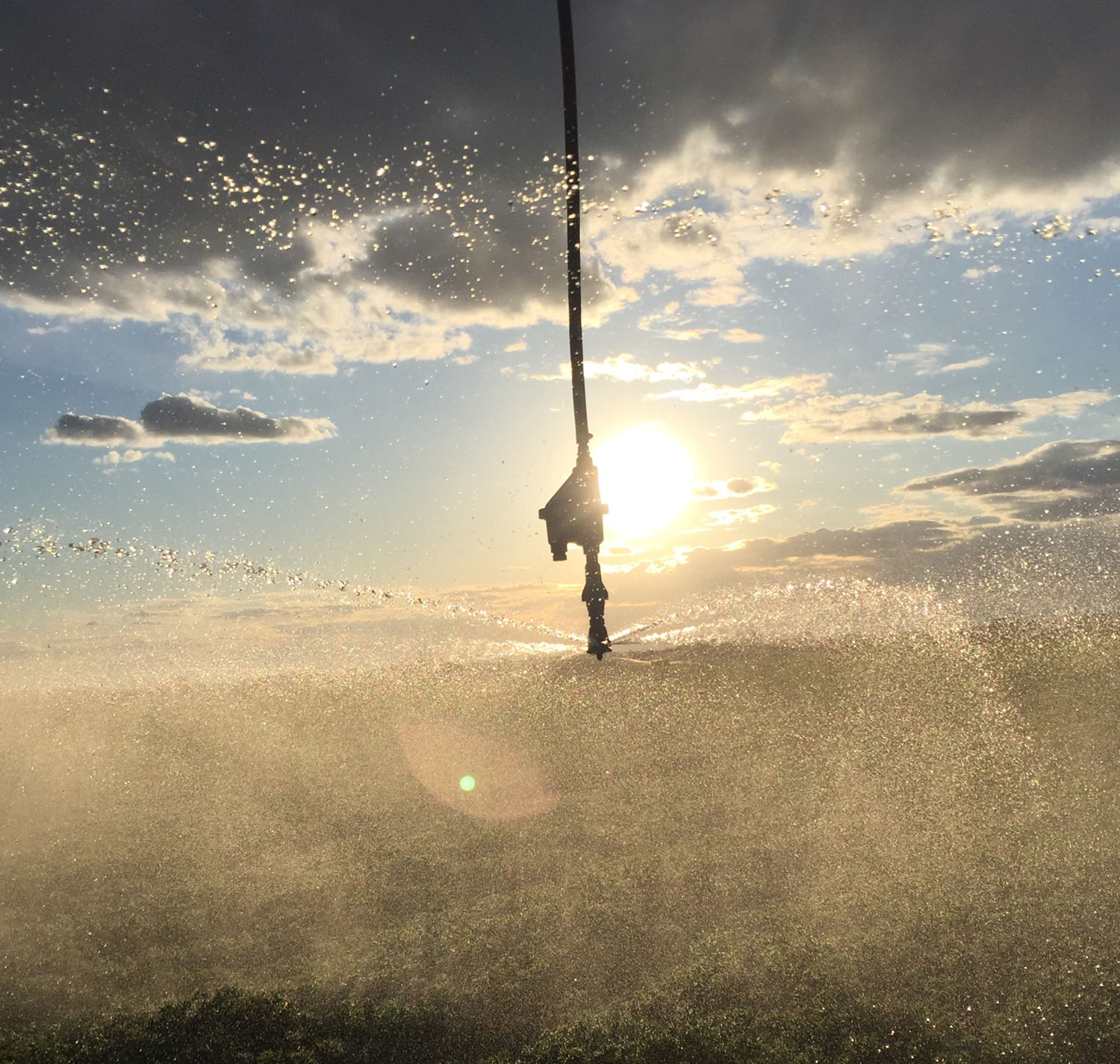 E-Z Flush Filters | For Circle Irrigation Systems