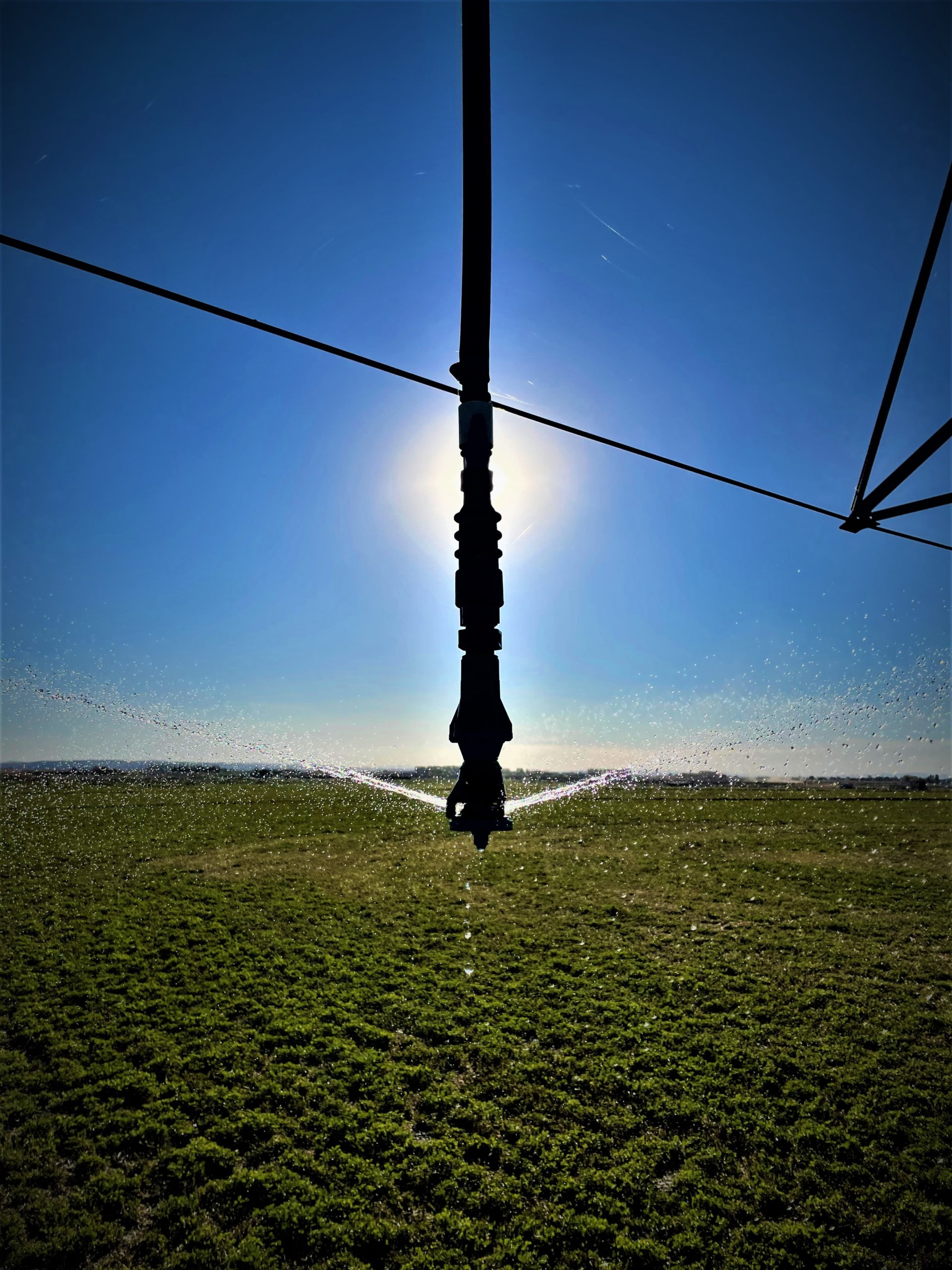 E-Z Flush Filters | For Circle Irrigation Systems