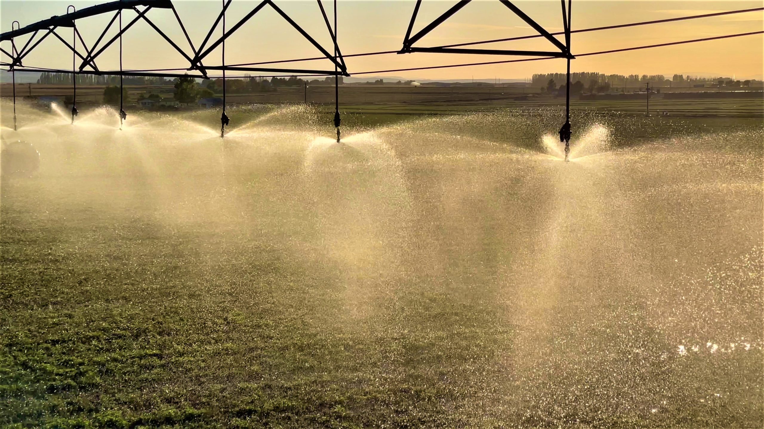 E-Z Flush Filters | For Circle Irrigation Systems