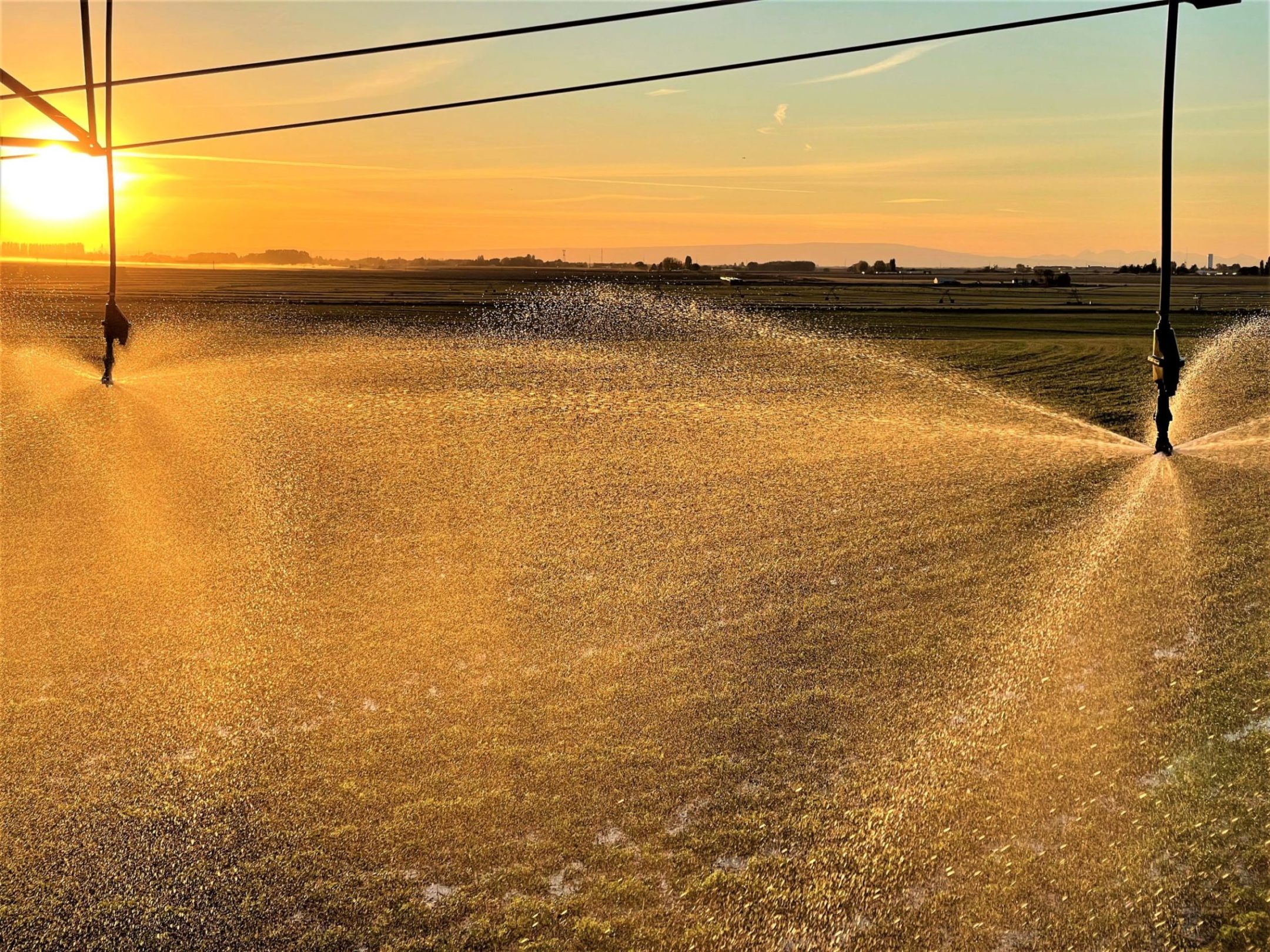 E-Z Flush Filters | For Circle Irrigation Systems